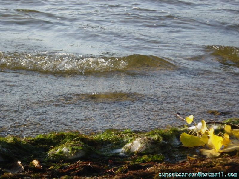 Whitewater, WI : Whitewater Lake - next to Beach photo, picture, image ...