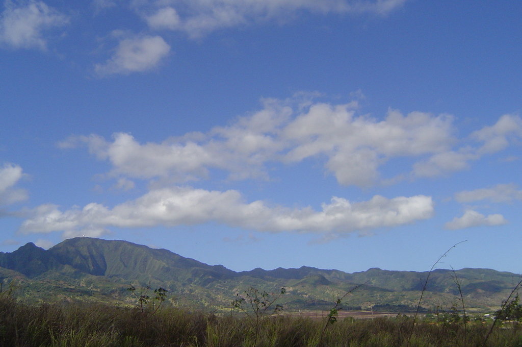 Waialua, HI : Mt Kaala photo, picture, image (Hawaii) at city-data.com