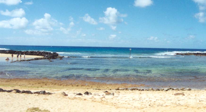 Poipu, HI : poipu beach photo, picture, image (Hawaii) at city-data.com