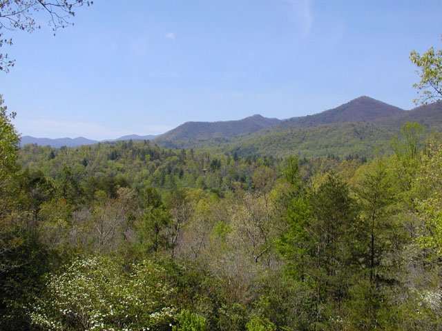 Franklin, NC : View from our front yard (Franklin - Iolta Township ...