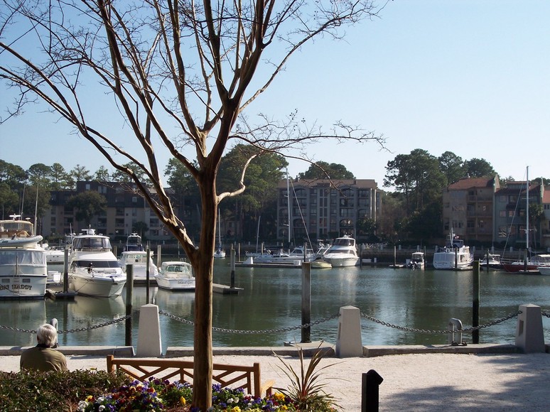 Hilton Head Island, SC : Peaceful harbour ar Harbour Town photo ...