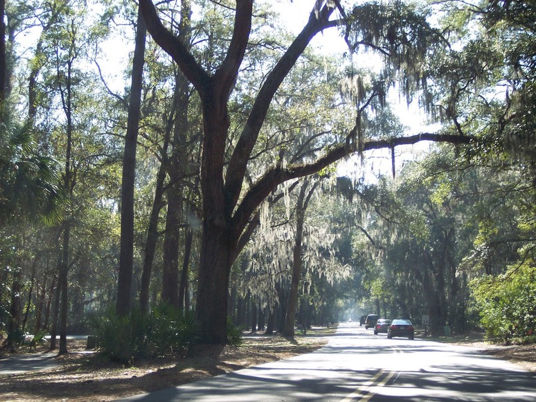 Hilton Head Island, SC : Sea Pines heading into Harbour Town photo ...