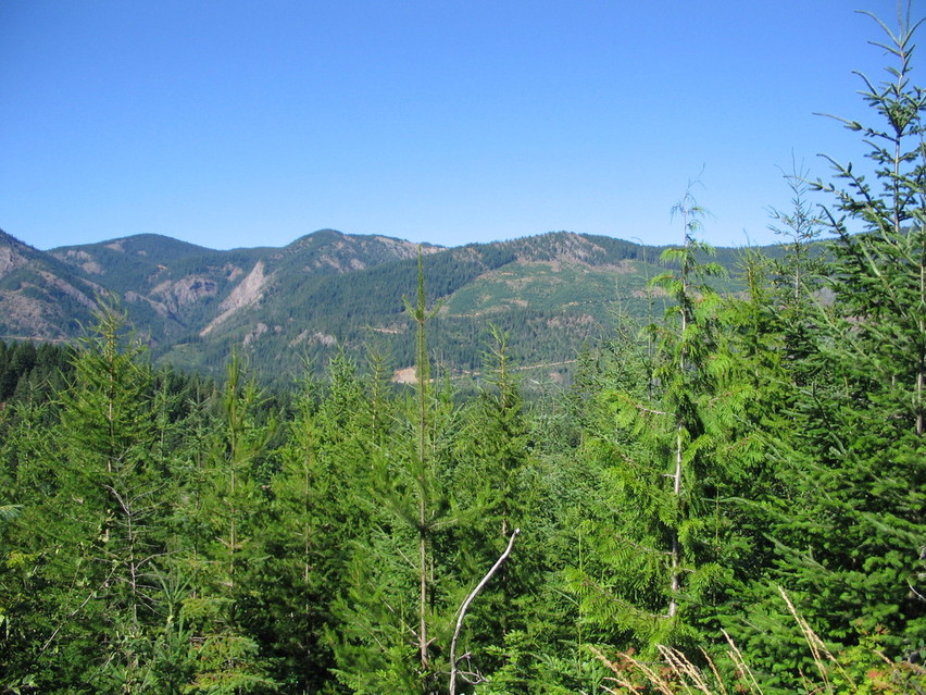 Easton, WA : Mountain Scene From Easton, WA photo, picture, image ...