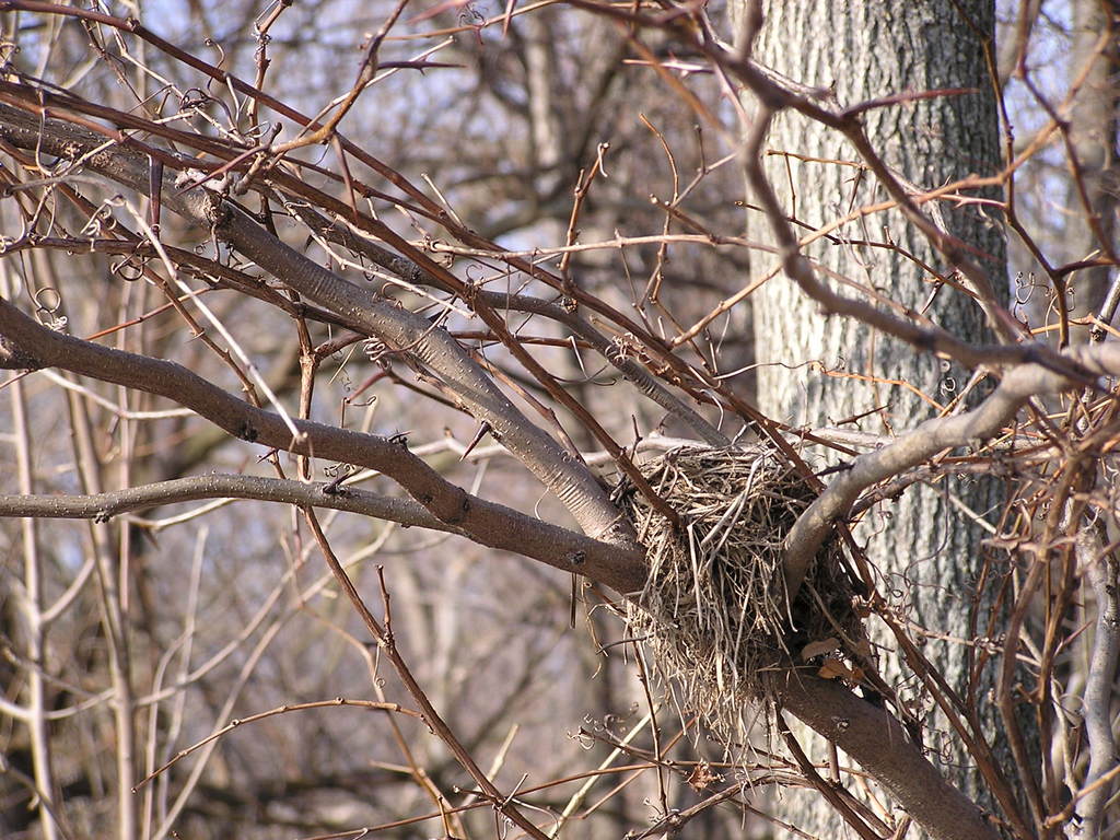 Wakarusa, IN : Winter Retreat for some in Wakarusa, IN photo, picture ...