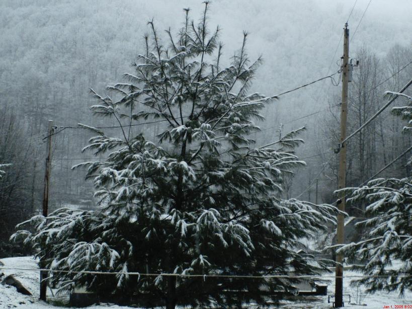 Manchester, KY : snowing in Clay County photo, picture, image (Kentucky ...