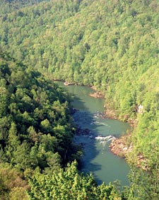 Oneida, TN : top view of Big South Fork recreation park photo, picture ...
