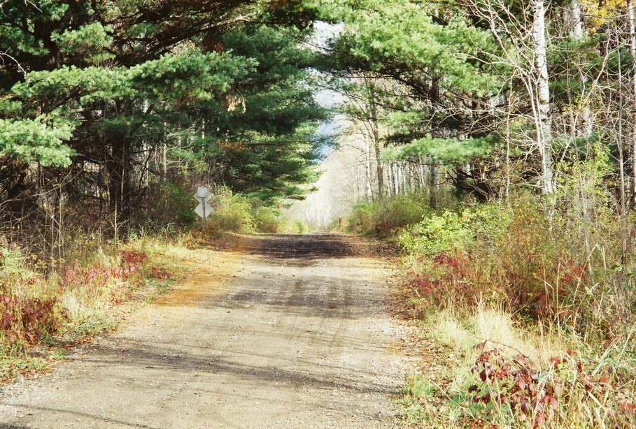 Winter, WI : Tuscobia Trail E of Winter, WI photo, picture, image ...