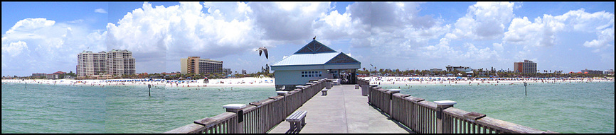 Clearwater, FL photo, picture, image (Florida) at city-data.com