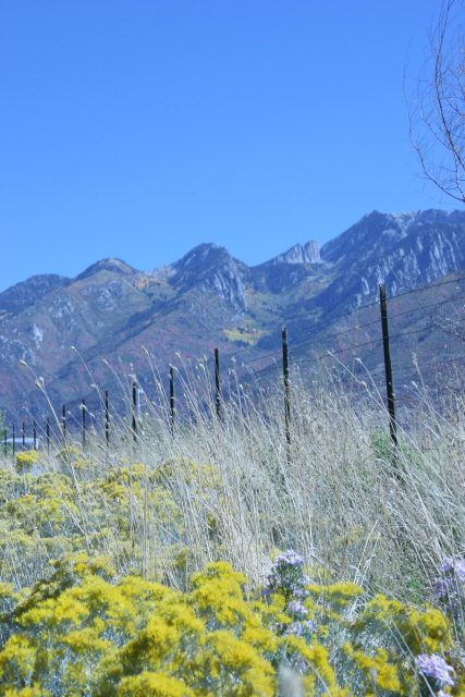 Draper, UT : Draper City photo, picture, image (Utah) at city-data.com