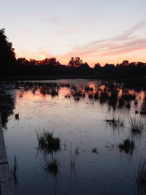 North Ridgeville, OH : Sunset at Sandy Ridge photo, picture, image ...