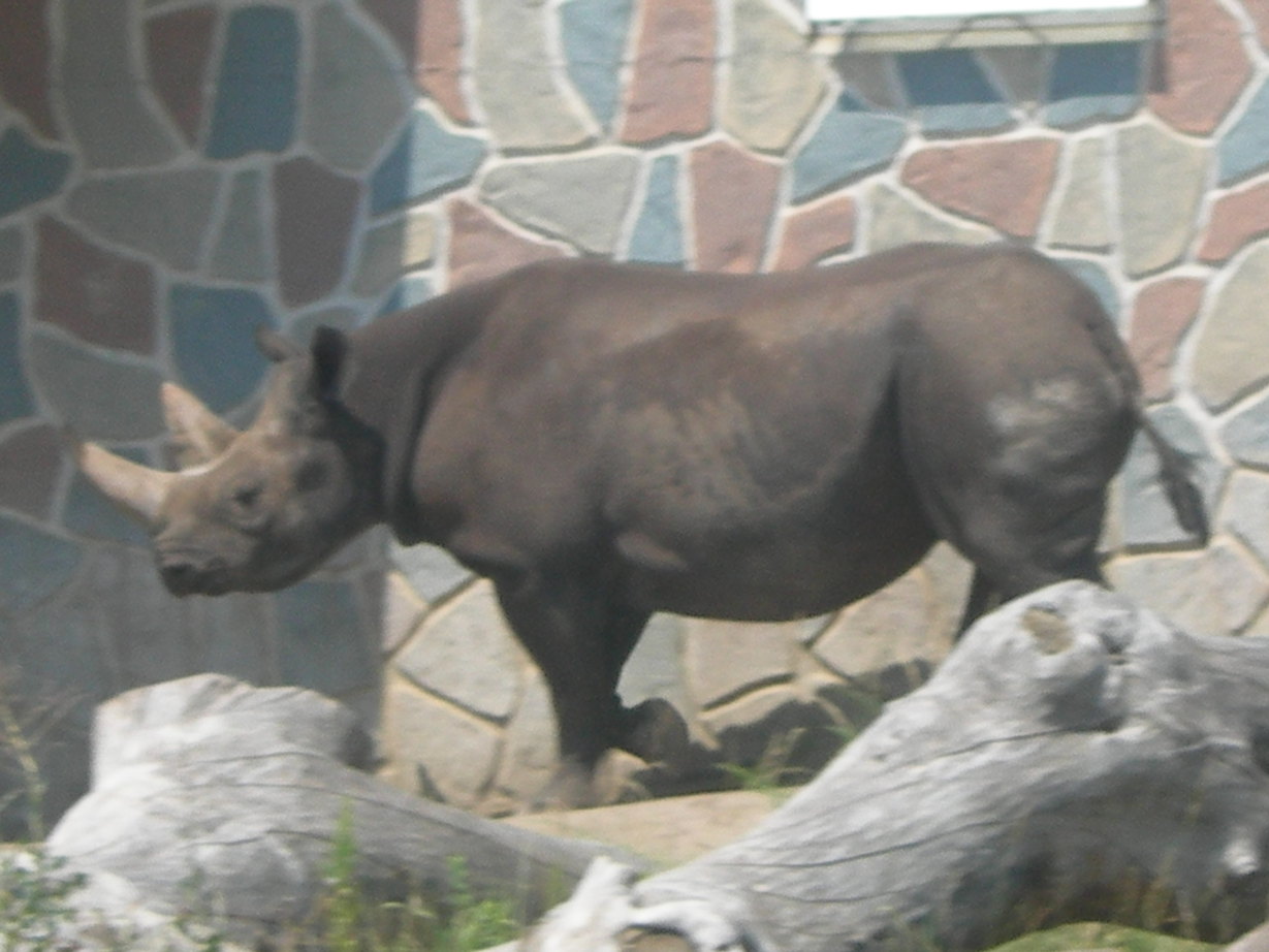 Racine, WI : racine/zoo photo, picture, image (Wisconsin) at city-data.com