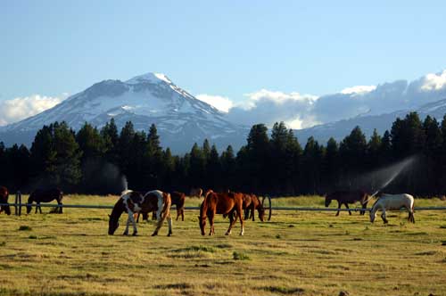 Terrebonne, OR : Ranch Terrebonne Oregon photo, picture, image (Oregon ...