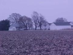Morrisonville, IL : Typical Morrisonville Farm photo, picture, image ...