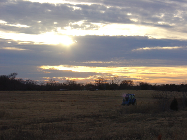 Athens, TX : A view from Champion Ranch in Athens photo, picture, image ...