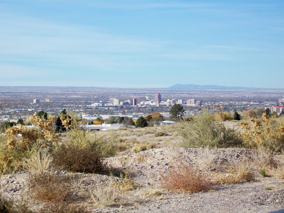 Albuquerque, NM : Albuquerque Skyline photo, picture, image (New Mexico ...