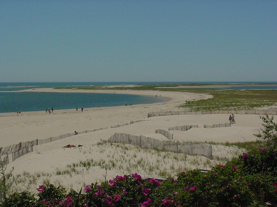 Chatham, MA : Chatham Beach photo, picture, image (Massachusetts) at ...