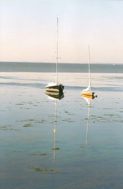Seadrift, TX : An unusually calm day on San Antonio Bay, Seadrift ...
