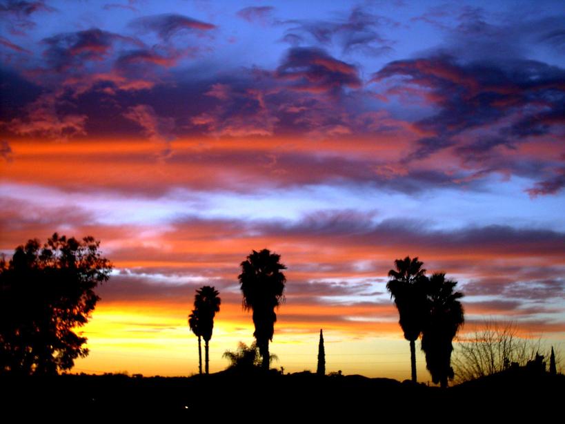 Bostonia, CA : 8 Weeks after the START of the Cedar Fires. In Bostonia ...