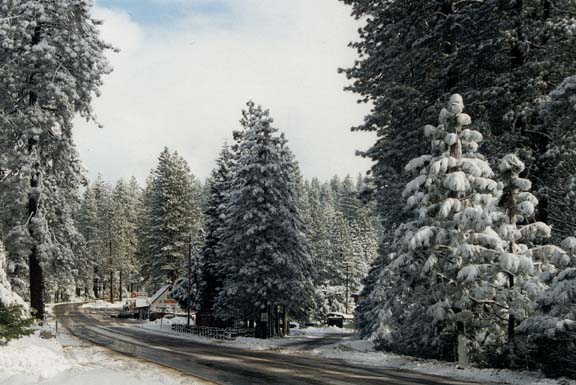 Mi-Wuk Village, CA : Mi Wuk Village in winter photo, picture, image ...