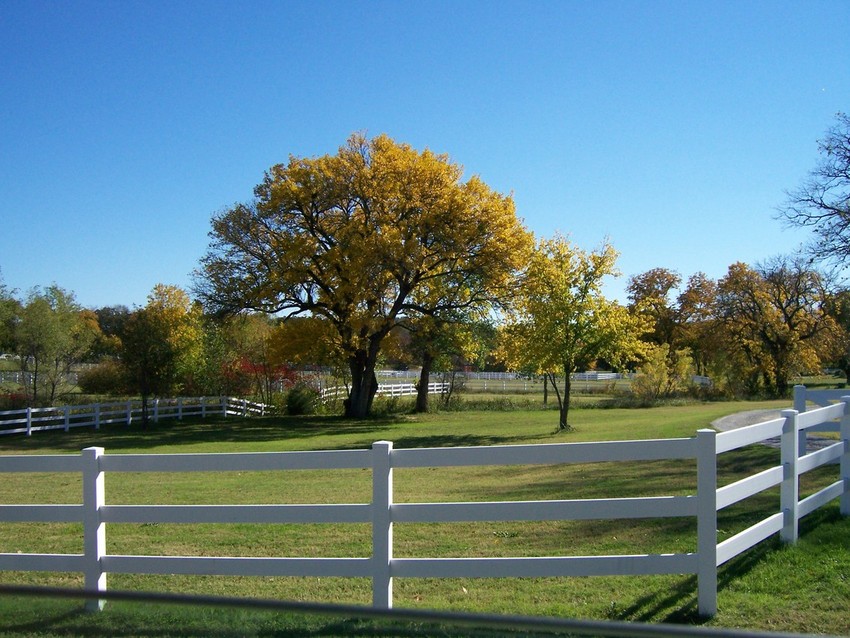 Pilot Point, TX : Near Lake Ray Roberts photo, picture, image (Texas ...