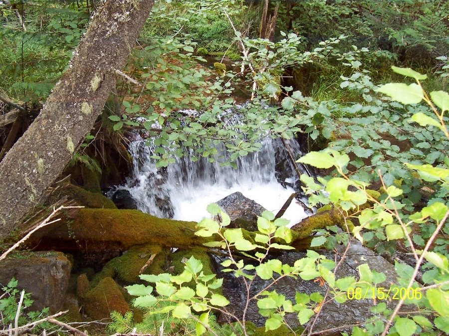 Superior, MT : Flat Creek in Superior, Montana photo, picture, image ...