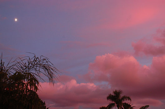 Venice Gardens, FL : Sunset on Shamrock Blvd. photo, picture, image ...