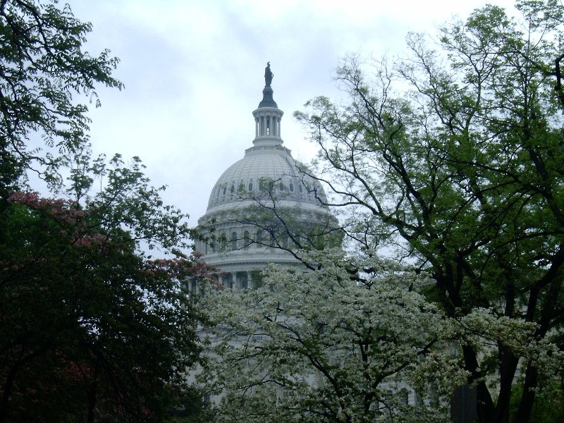 Washington, DC : Washington, DC: Springtime at the United States ...