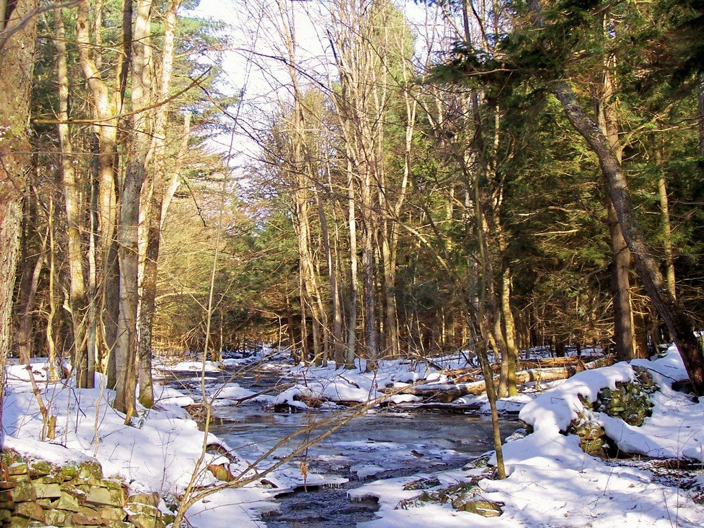 Florence, NY : Creek in Florence photo, picture, image (New York) at ...