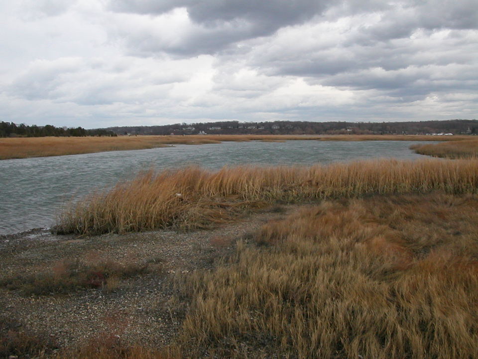 Smithtown, NY : Smithtown Bay photo, picture, image (New York) at city ...