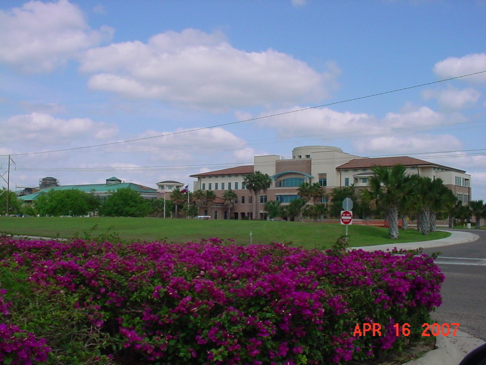 Valley Baptist Medical Center Program Harlingen Tx - Download Free Apps ...