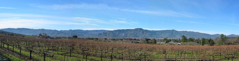 Ukiah, CA : Vineyards Surrounding Ukiah photo, picture, image ...