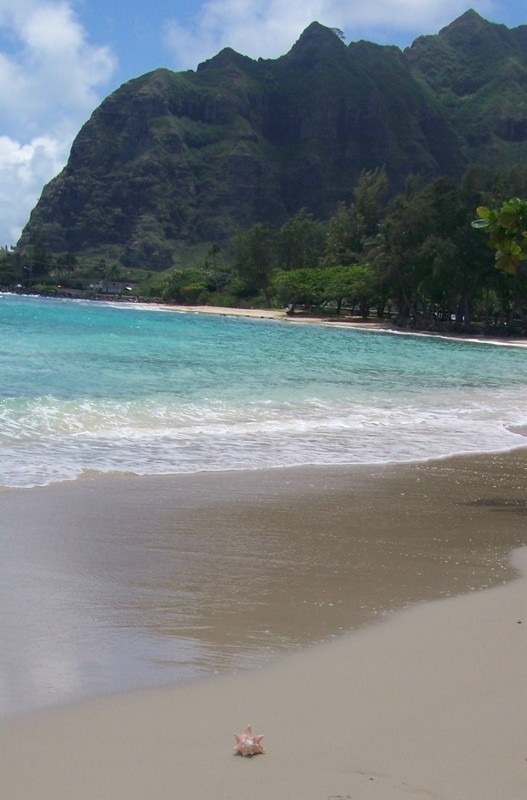 Kaaawa, HI : Kaaawa shore photo, picture, image (Hawaii) at city-data.com