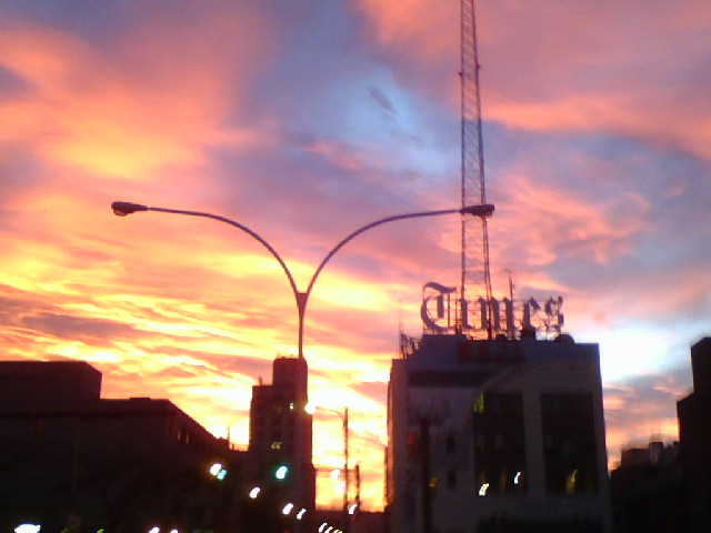 Scranton, PA : We had an unusually warm winter and this is a picture of ...