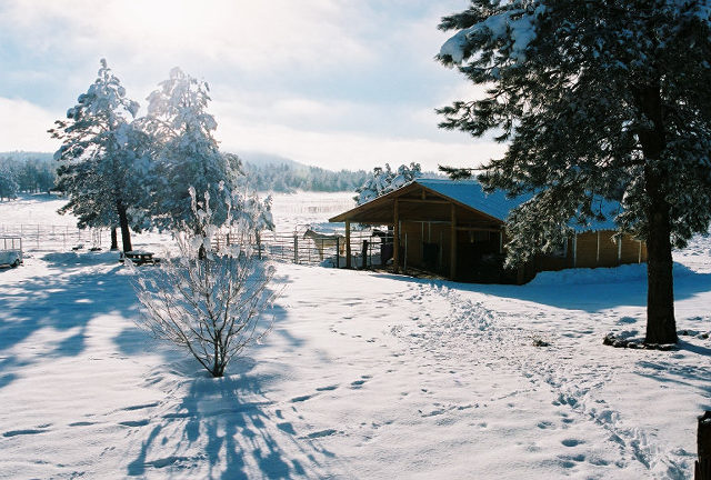 Parks, AZ : CIRCLE-C-RANCH PARKS IN WINTER photo, picture, image ...