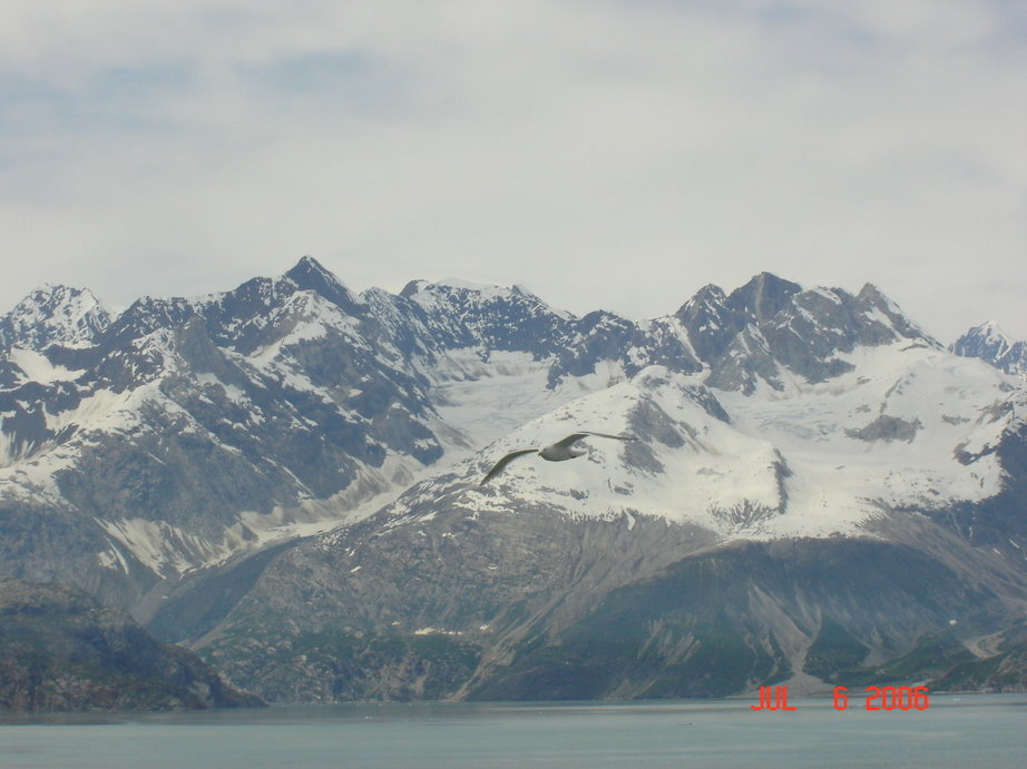 Sitka and, AK : GLACIER BAY photo, picture, image (Alaska) at city-data.com