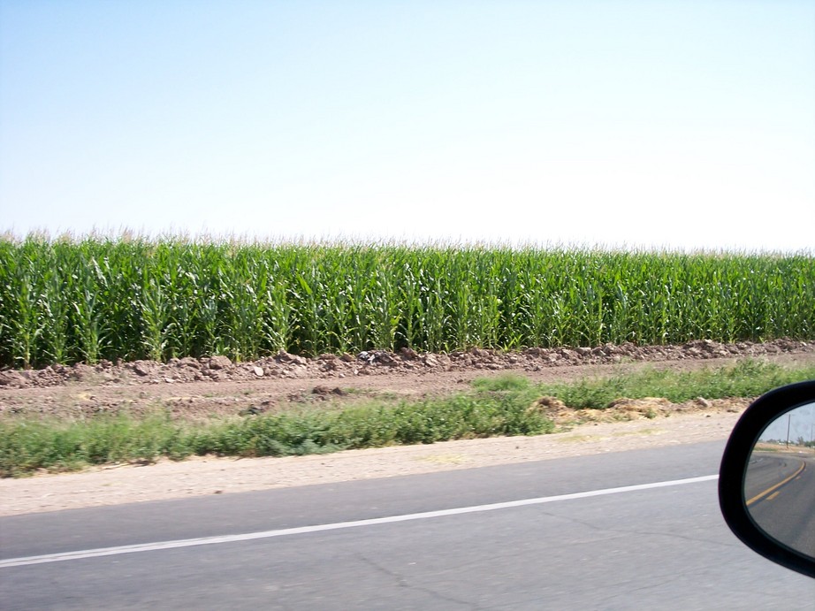 Seeley, CA : agriculture photo, picture, image (California) at city ...