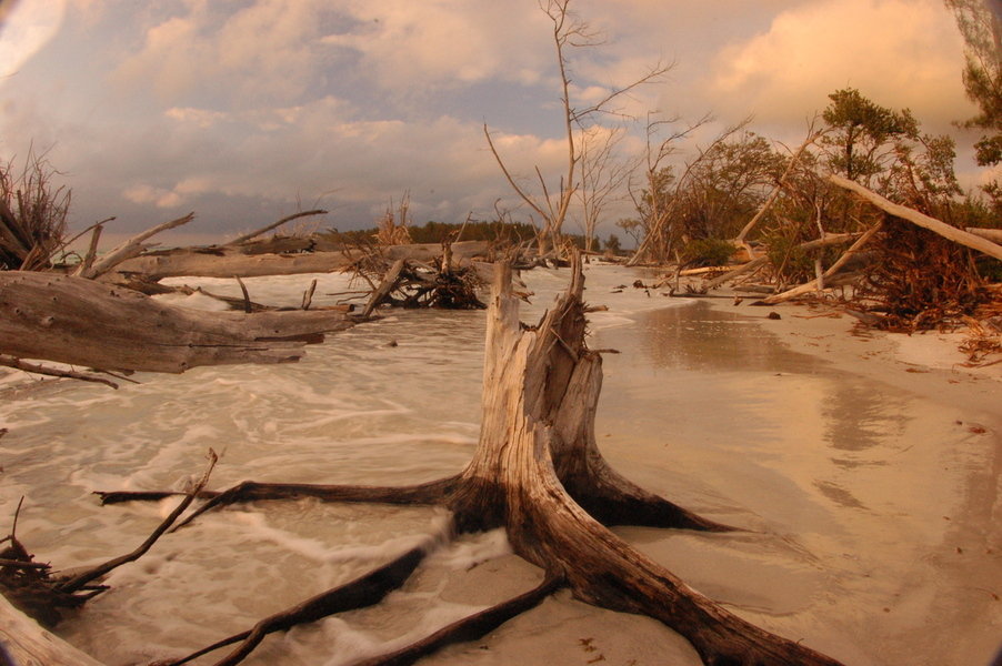 Longboat Key, FL : Longboat Key photo, picture, image (Florida) at city ...