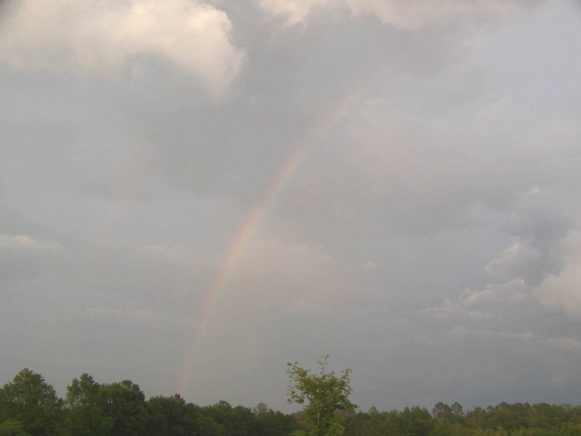 Bowdon, GA : Rainbow after the Storm photo, picture, image (Georgia) at ...