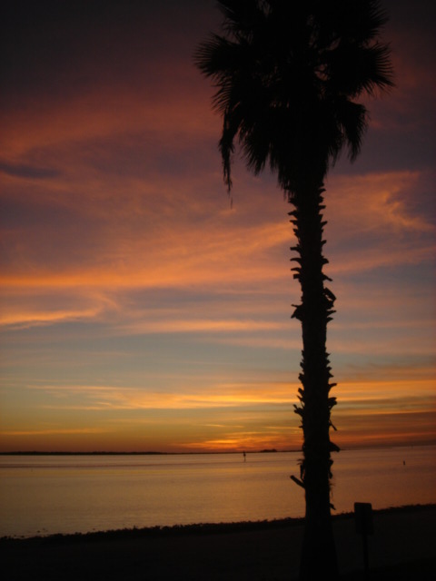 Dunedin, FL : Sunset at Dunedin Causeway photo, picture, image (Florida ...