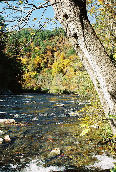 Tellico Plains, TN : Tellico River along the side of the Cherohala ...