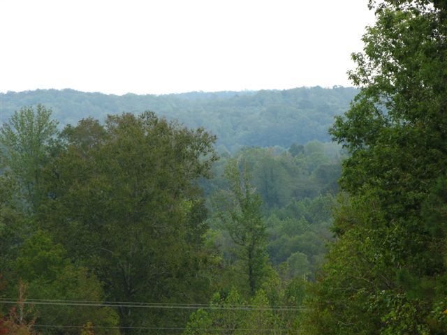 Holladay, TN : View from the Bluff on our property in Holladay, Tn ...