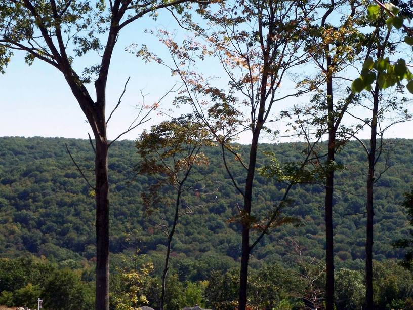 Naugatuck, CT : View of Naugatuck photo, picture, image (Connecticut ...