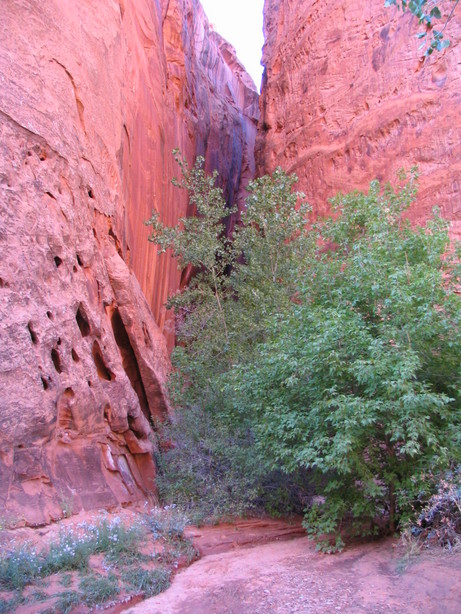 Boulder, UT : Burr Trail Road, Boulder, UT photo, picture, image (Utah ...
