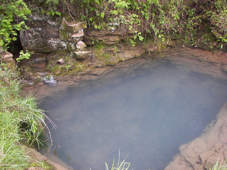 Elkmont, AL : limestone spring photo, picture, image (Alabama) at city ...