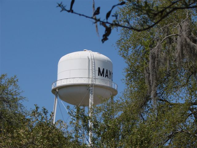 Mayo, FL : The Mayo Water Tower photo, picture, image (Florida) at city ...