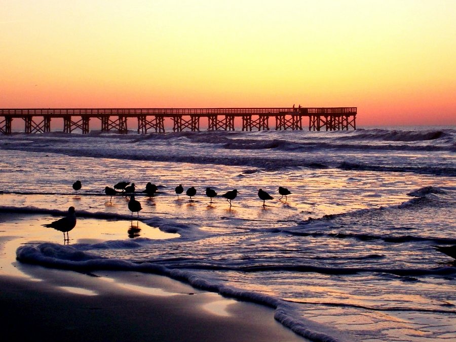 Isle of Palms, SC : iop pier photo, picture, image (South Carolina) at ...
