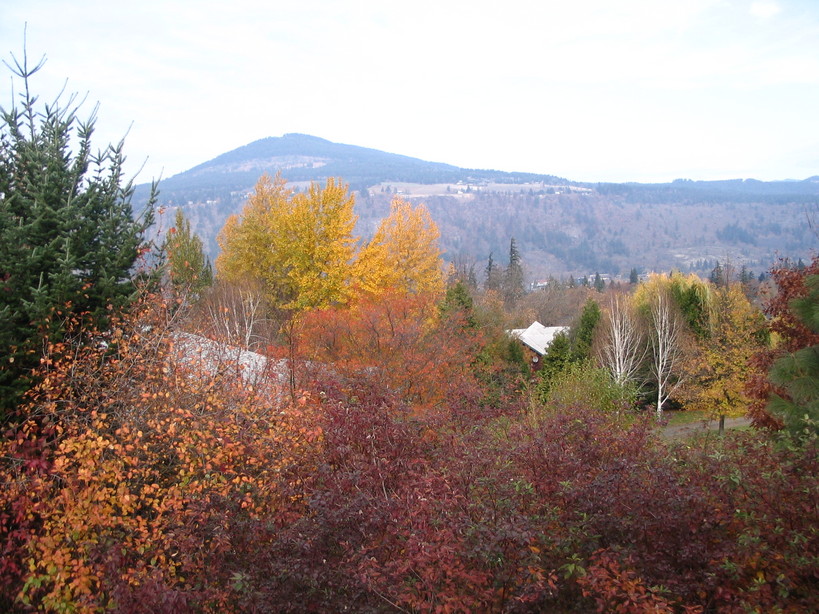 Hood River, OR : Autumn in Hood River photo, picture, image (Oregon) at ...
