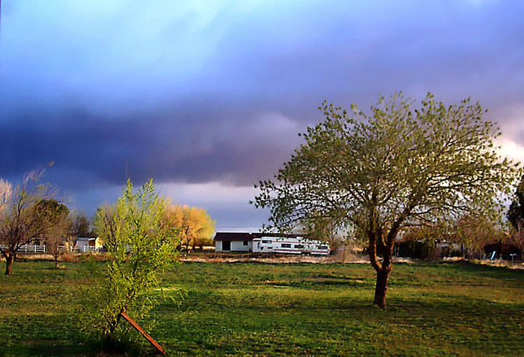 Littlerock, CA : My backyard in the early morning photo, picture, image ...