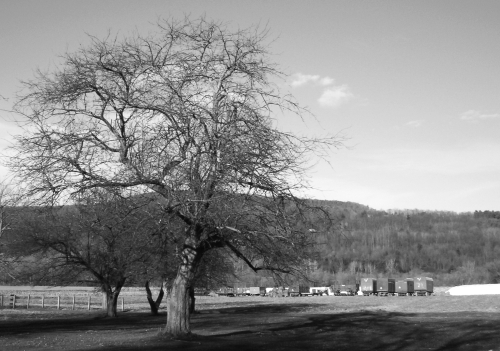 Canisteo, NY : Canisteo, NY 2004 photo, picture, image (New York) at ...