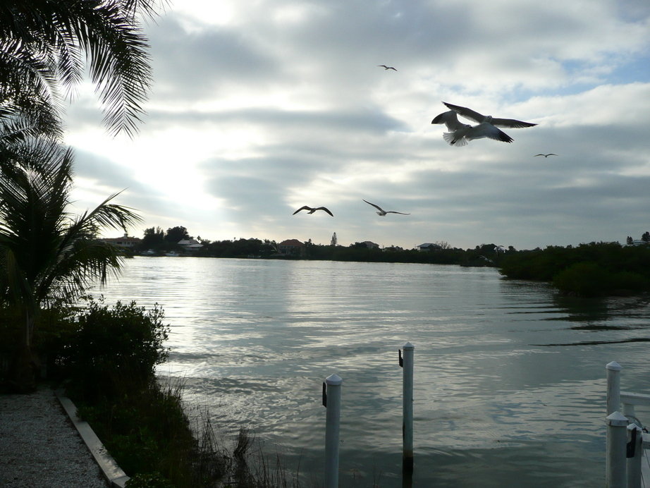 Nokomis, FL : Roberts Bay_12-22-2007 photo, picture, image (Florida) at ...